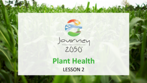 Journey 2050 School ProgramJourney 2050